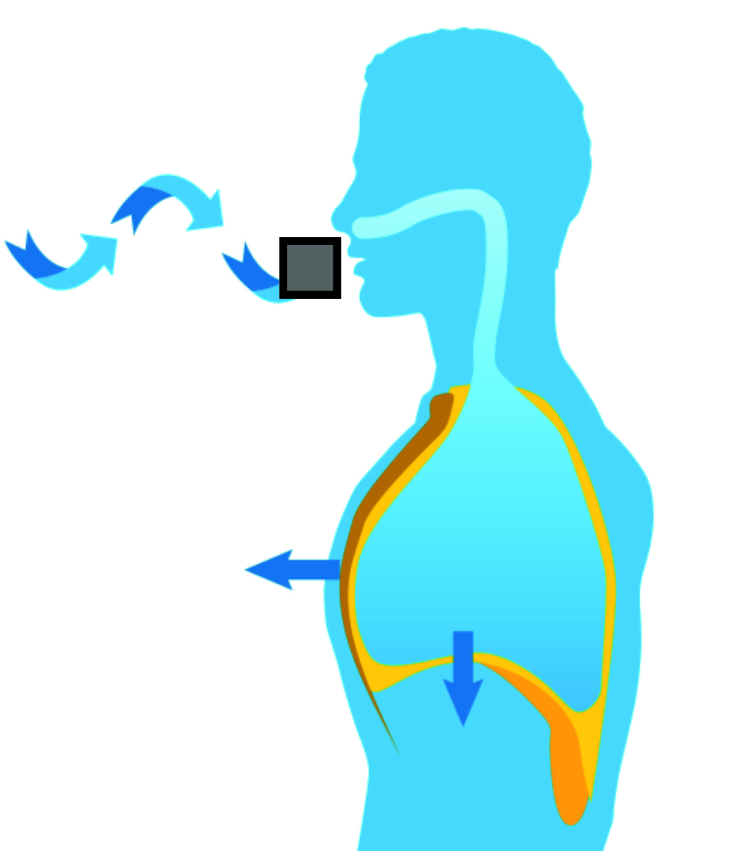 Spectroscopic Breath Analysis | The Ritchie Group